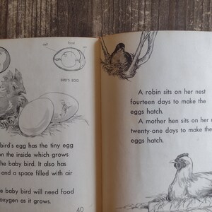The True Book of Animal Babies Illa Podendorf Pauline - Etsy