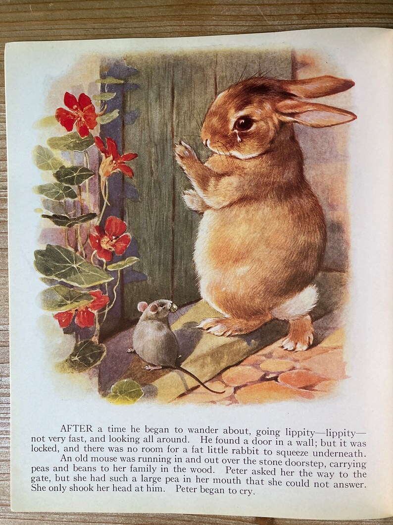 The Tale of Peter Rabbit * Beatrix Potter * Gallery Graphics Inc * 1993 ...