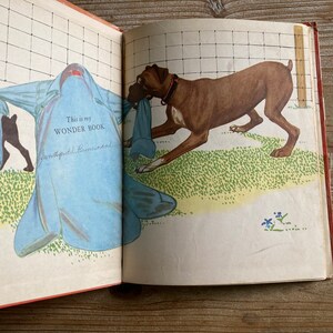 The Playful Little Dog * Jean Horton Berg * Maurice Robertson * Wonder ...