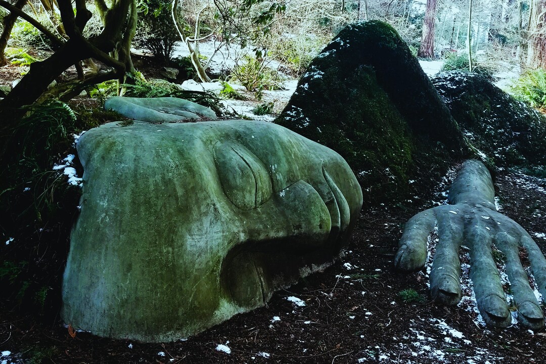 Moss Lady Victoria BC Beacon Hill Park Winter Frost Mud Maiden - Etsy