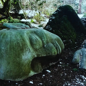 Moss Lady Victoria BC Beacon Hill Park Winter Frost Mud Maiden - Etsy