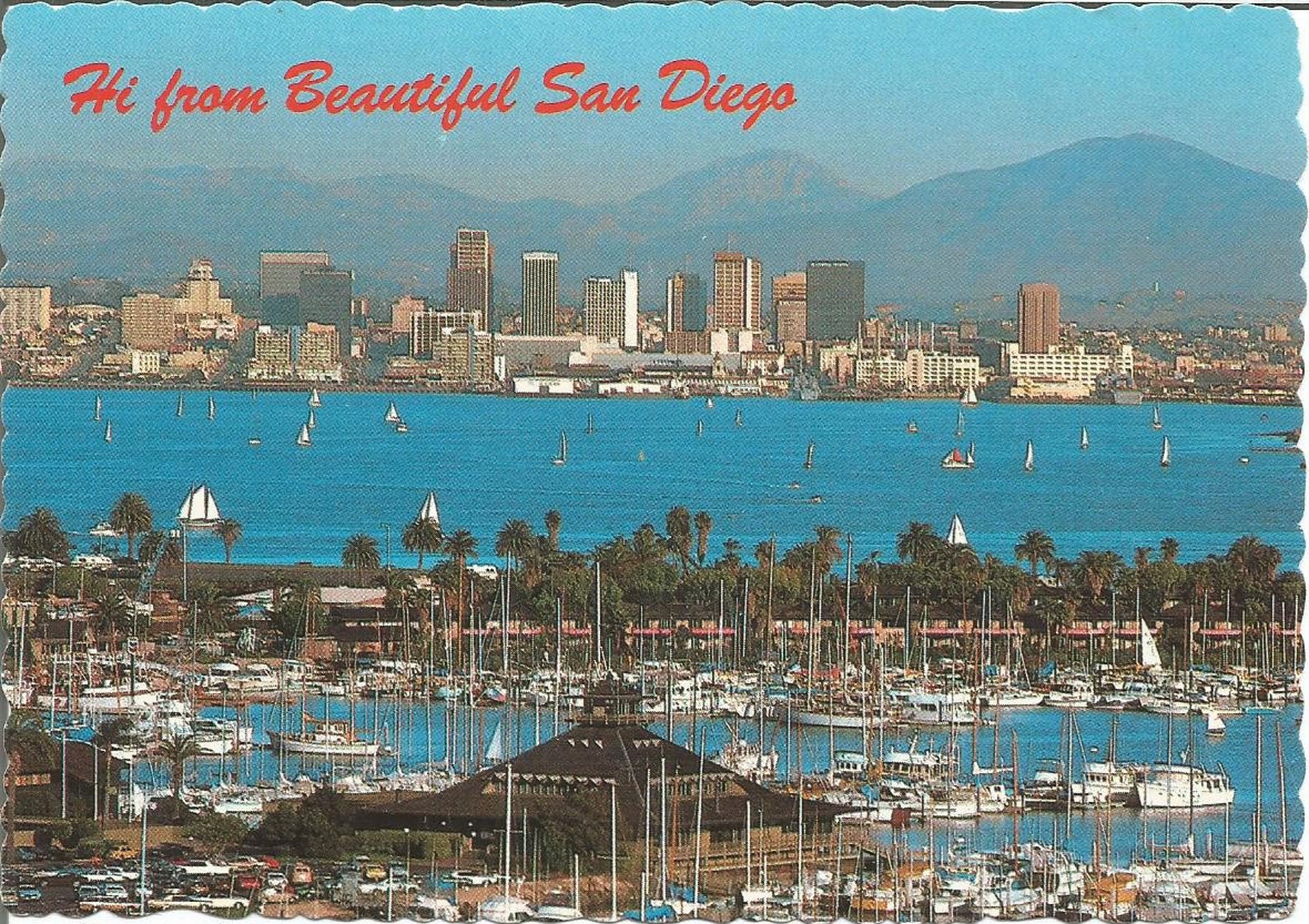 California Vintage Postcards San Diego Bay and Skyline City | Etsy