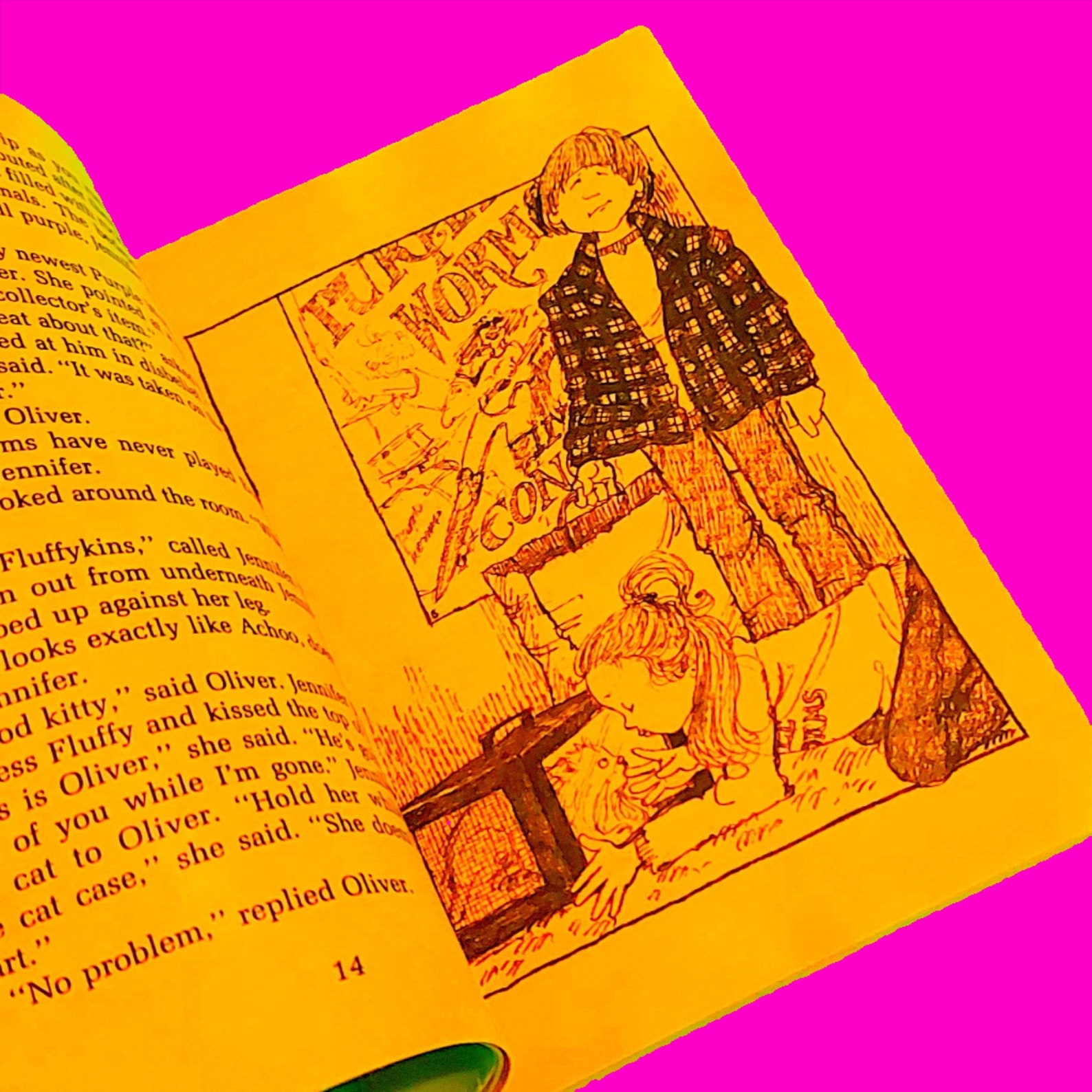 Adventure in the Haunted House Page Mcbrier Pet Sitting Fiasco ...