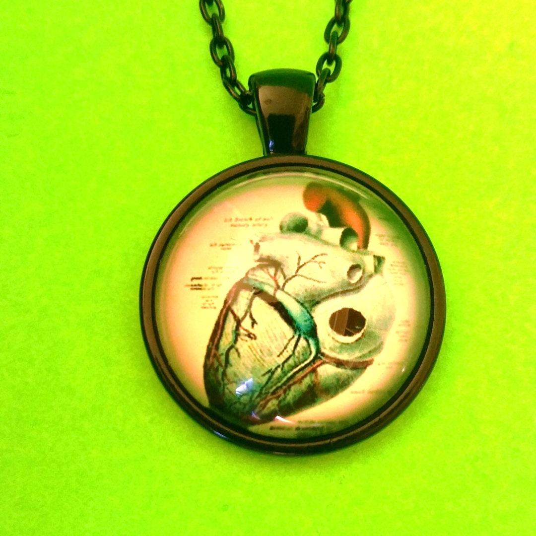 Anatomical Heart Vintage Anatomy Book Illustration Glass - Etsy