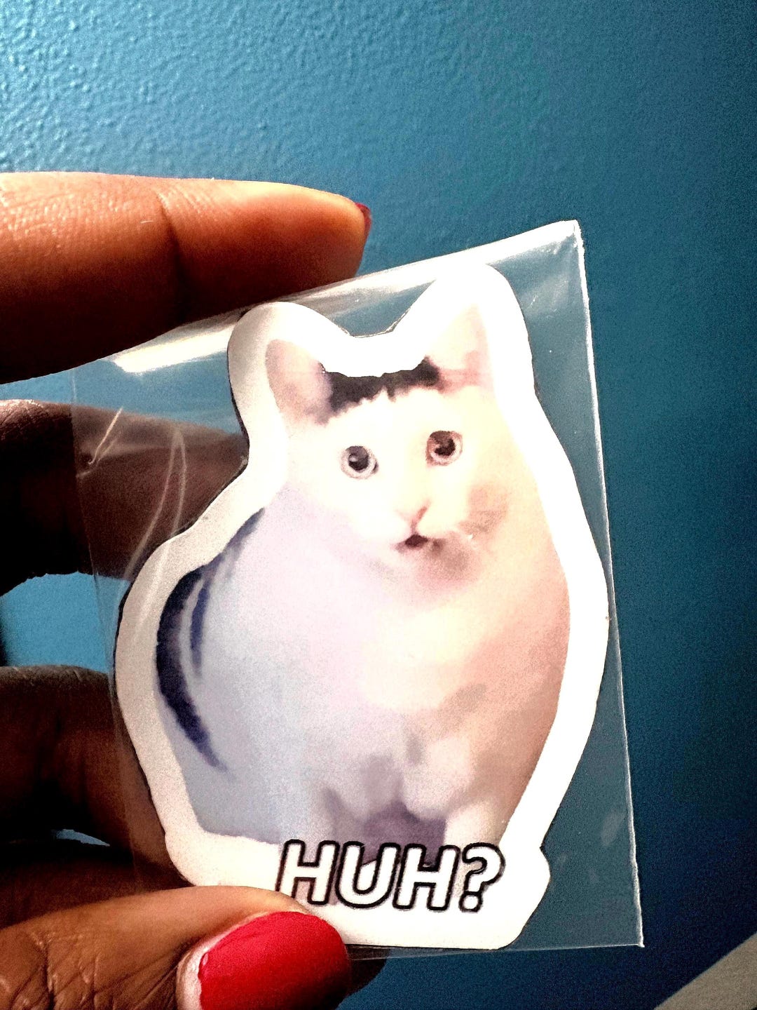 Funny Viral Tik Tok Meme Cat Magnets | Handmade Large Magnets for Car ...