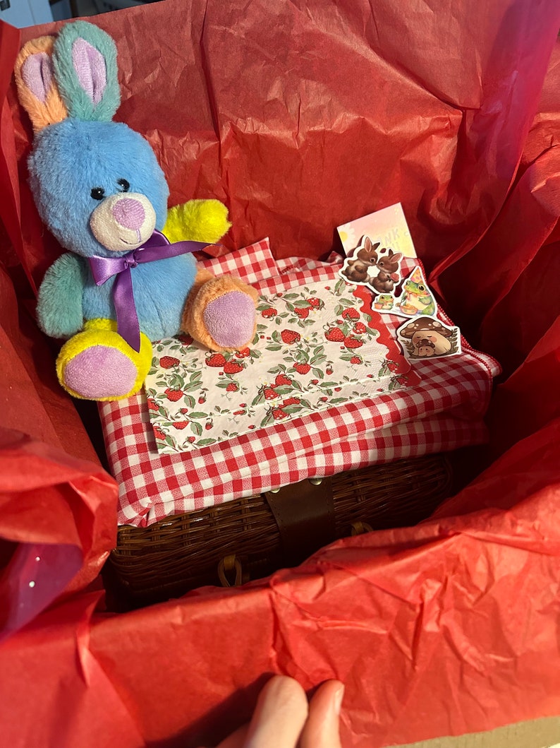 Mommy & Me Picnic Mystery Box Cottagecore Tea Party Childrens Gift ...