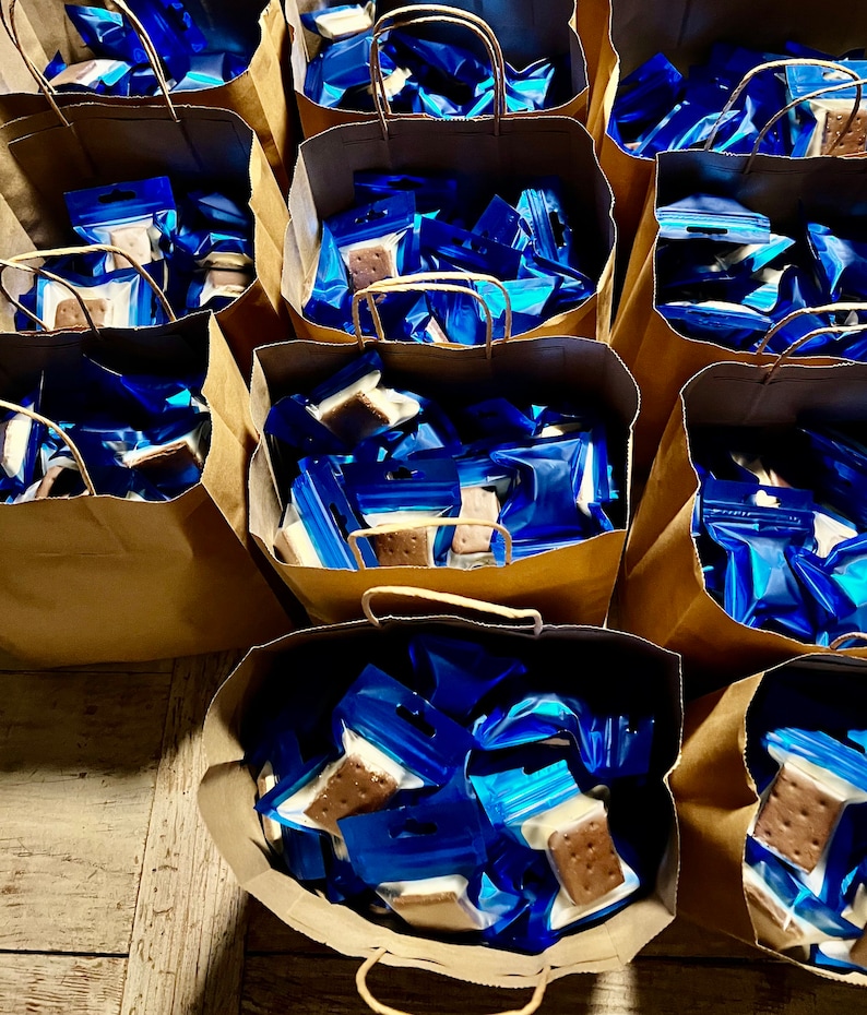 100 Freeze Dried Ice Cream Sandwich Individual Bites - Etsy