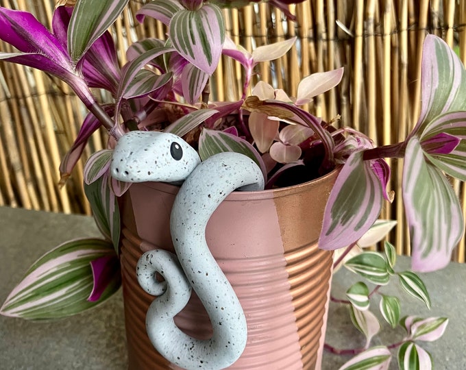 Pot Hanging Snake Plant Accessory - Etsy