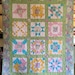 Easy Sampler Quilt Pattern, Beginner Lessons, Learn to Create 12 ...
