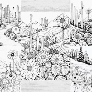 Desert Landscape Coloring Pages – Cactus & Sunset, Zentangle Art ...