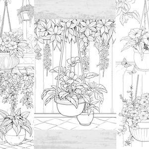 Flower Coloring Book, Hanging Flowers, Plant Coloring Pages, Flower ...