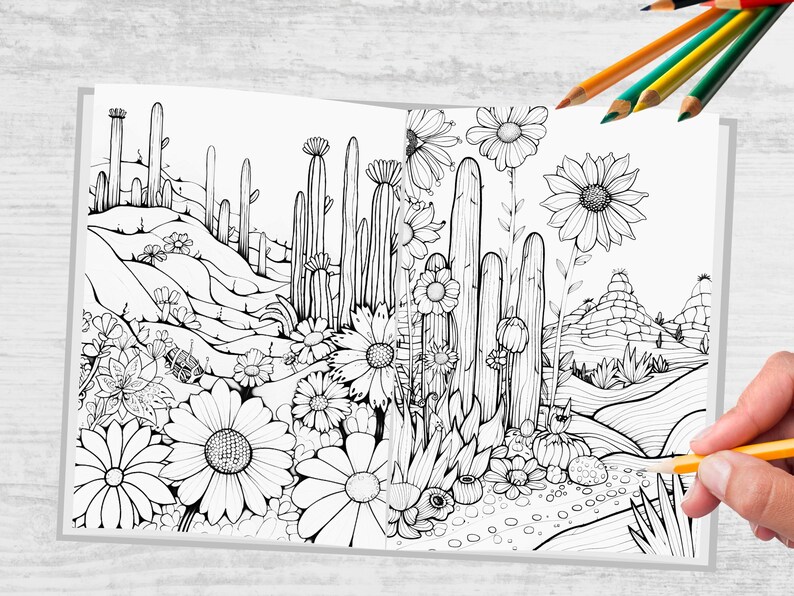 Desert Landscape Coloring Pages – Cactus & Sunset, Zentangle Art ...