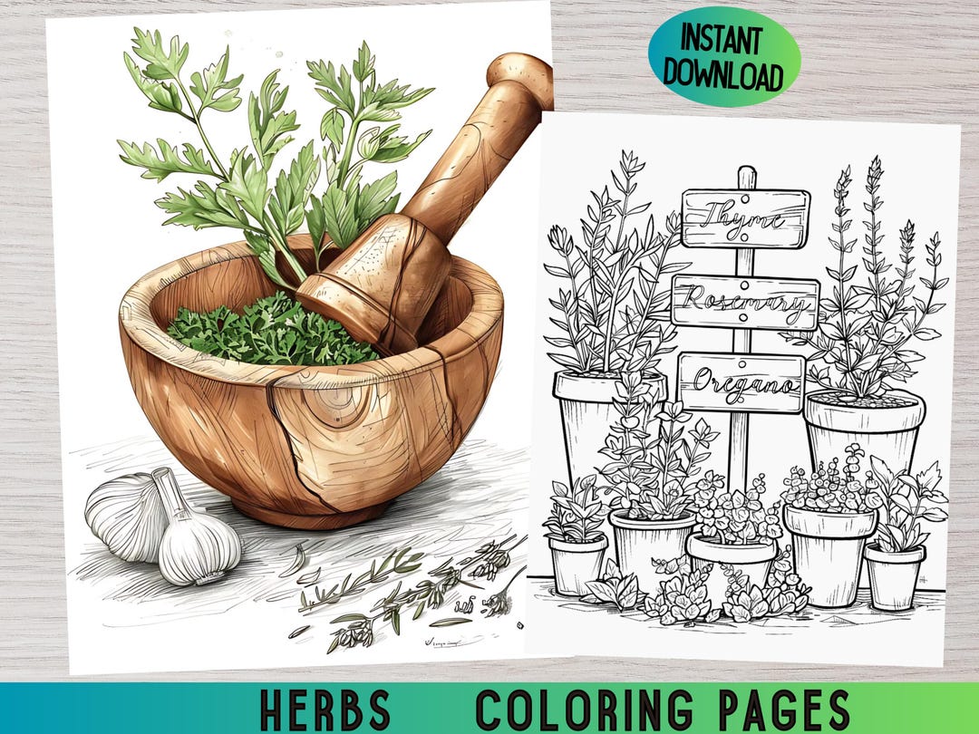 Herbs Coloring Pages - Botanical and Nature Coloring Book, Herb ...