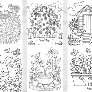 Garden Coloring, Flower Garden Coloring Page, Garden Coloring Sheets ...