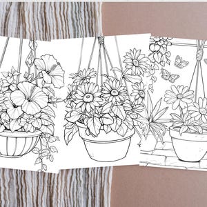 Flower Coloring Book, Hanging Flowers, Plant Coloring Pages, Flower ...