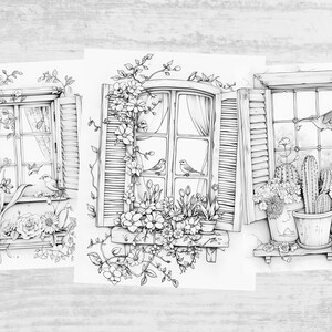 Floral Window Coloring Pages, Printable Botanical Art (digital Download ...