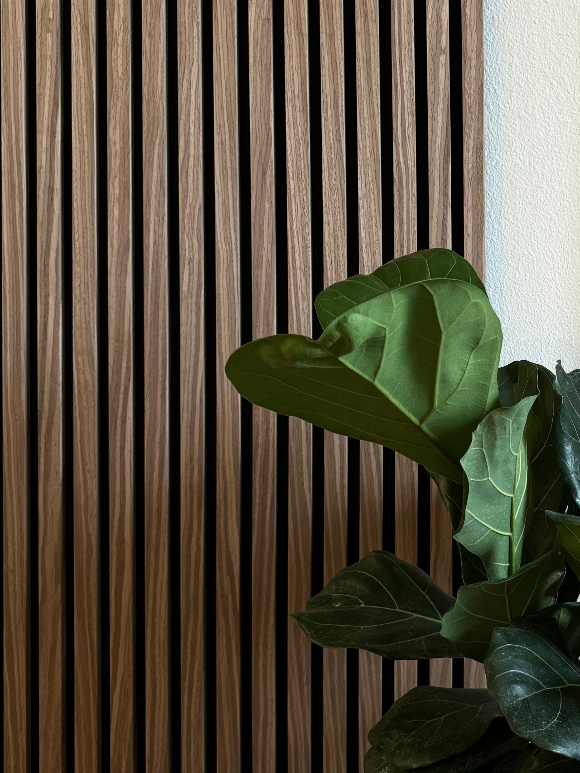 TWO Extra Wide Decorative Wall Panels in Spanish Oak - Easy to Install ...