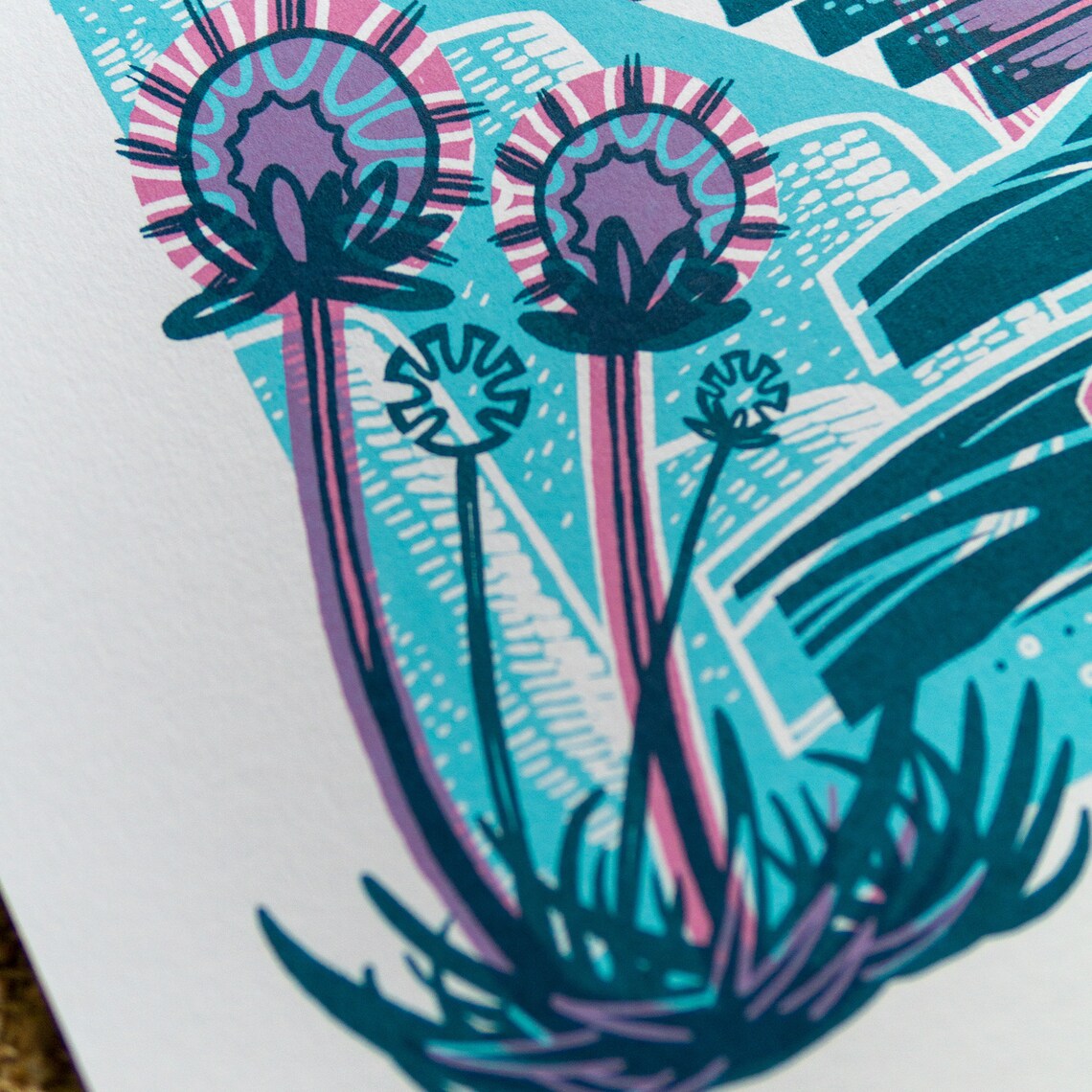 Cove Screen Print Limited Edition - Etsy