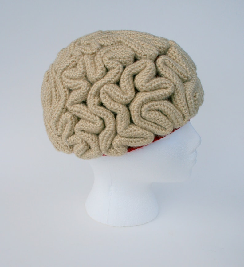 Crochet Pattern, Brain Beanie, Brain Hat, Crochet Brain, Science ...
