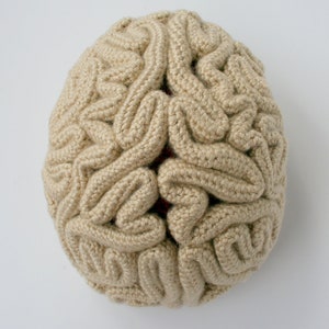 Crochet Pattern, Brain Beanie, Brain Hat, Crochet Brain, Science ...