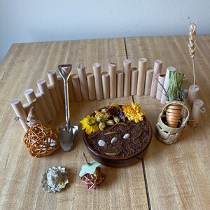 Hamster Activity Box Spring Garden Forage Chew Dig Enrichment Toys ...