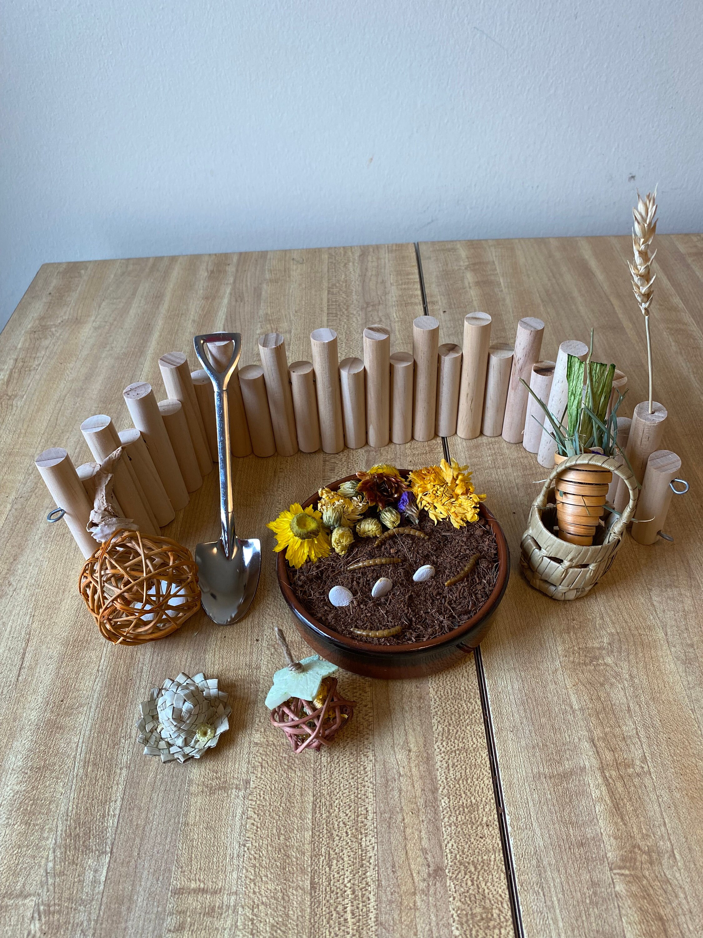 Hamster Activity Box Spring Garden Forage Chew Dig Enrichment Toys ...