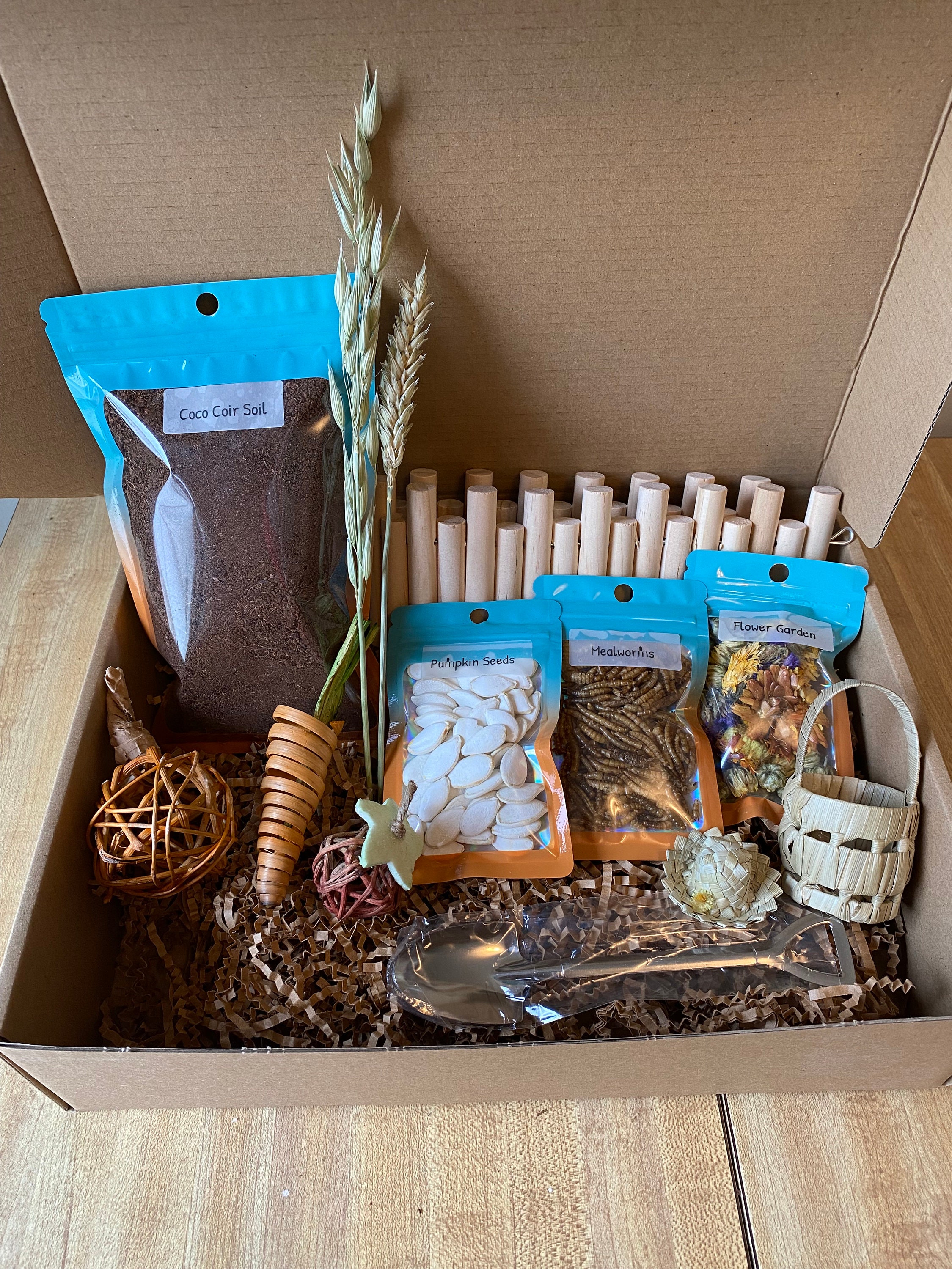 Hamster Activity Box Spring Garden Forage Chew Dig Enrichment Toys ...