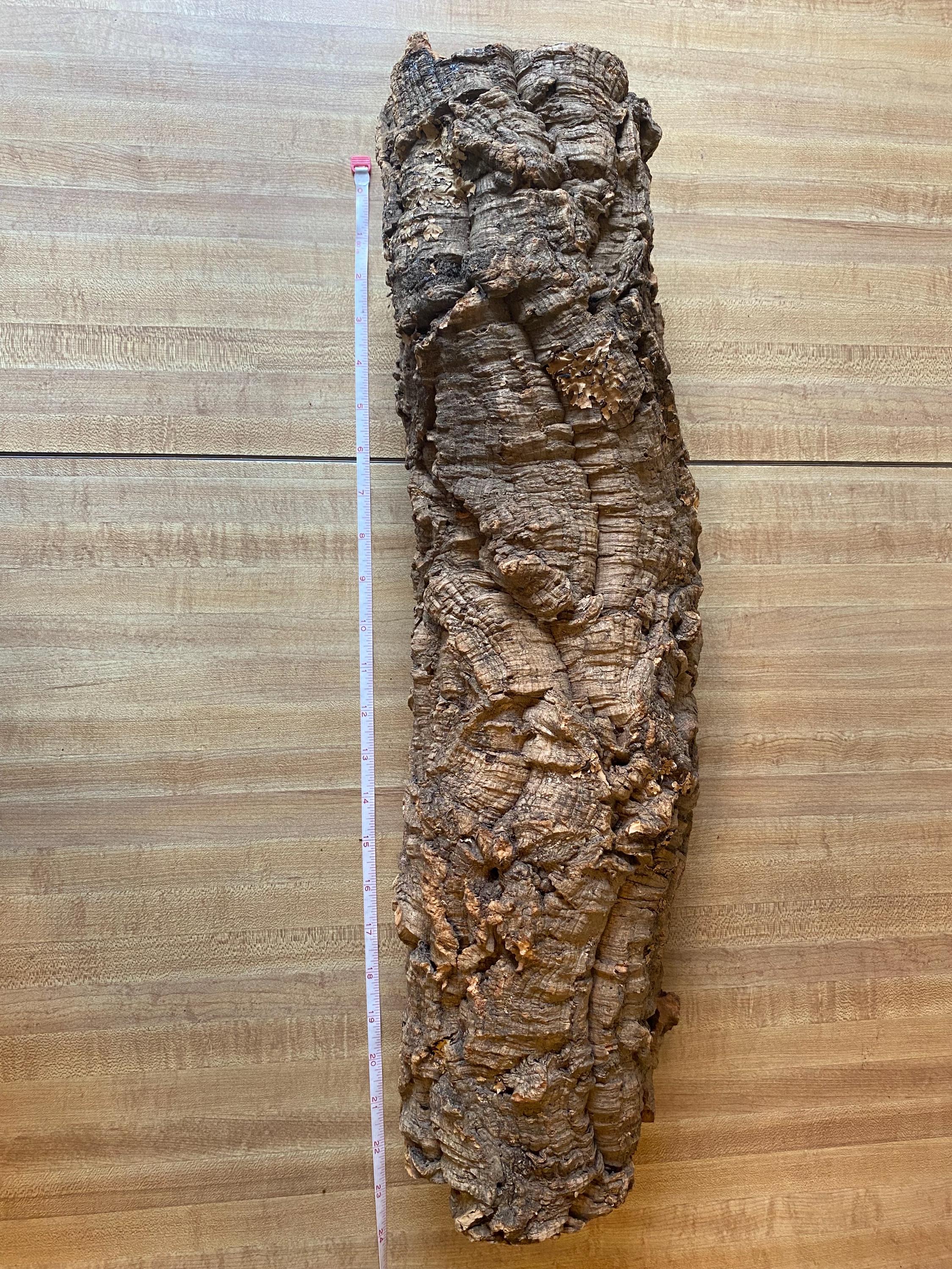Huge Cork Bark Round Show Piece Log Hole Hamster Hide Tunnel Terrarium ...