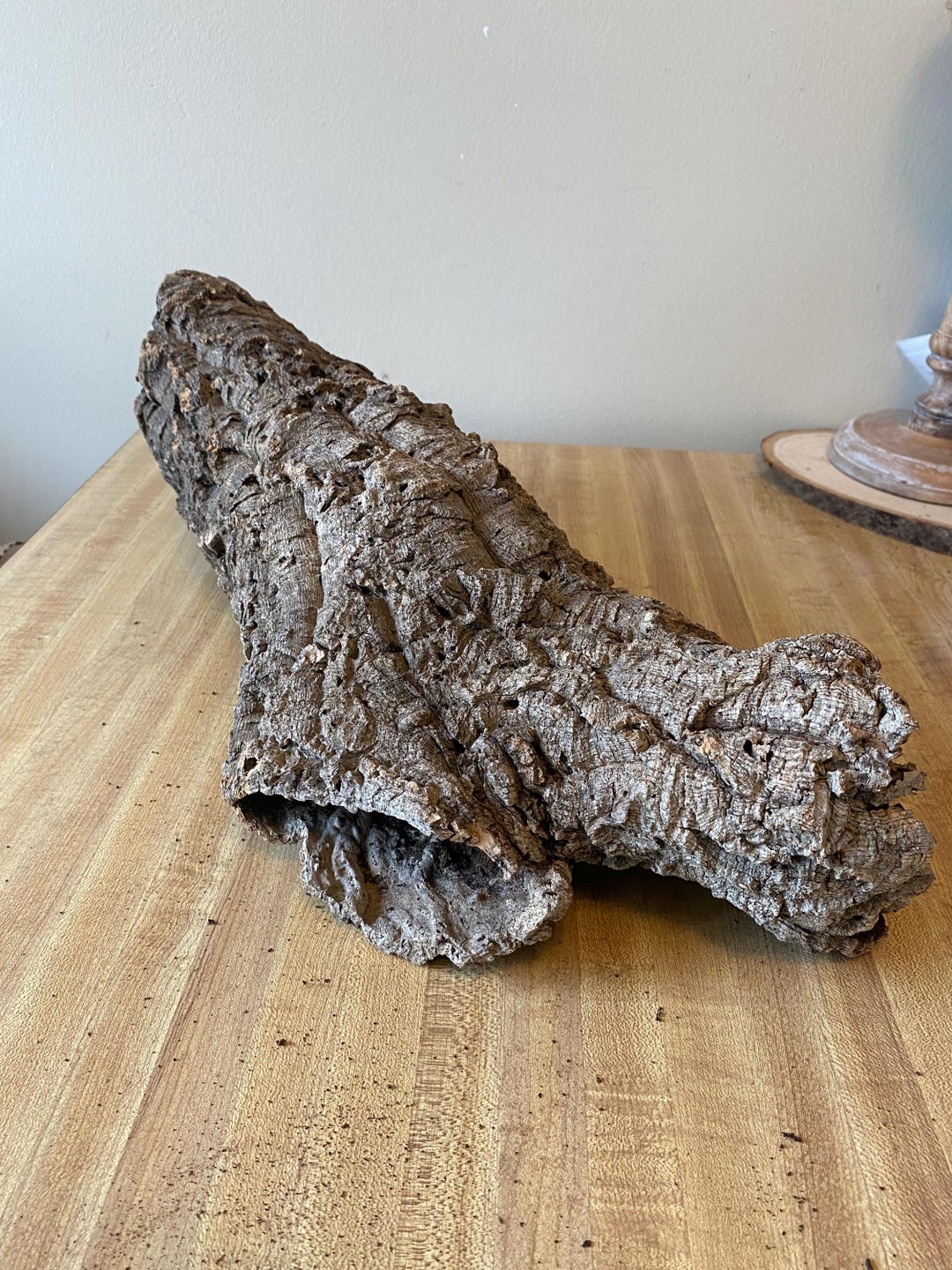 Extra Large Cork Bark Round Log Branch Huge Hamster Hide Tunnel ...