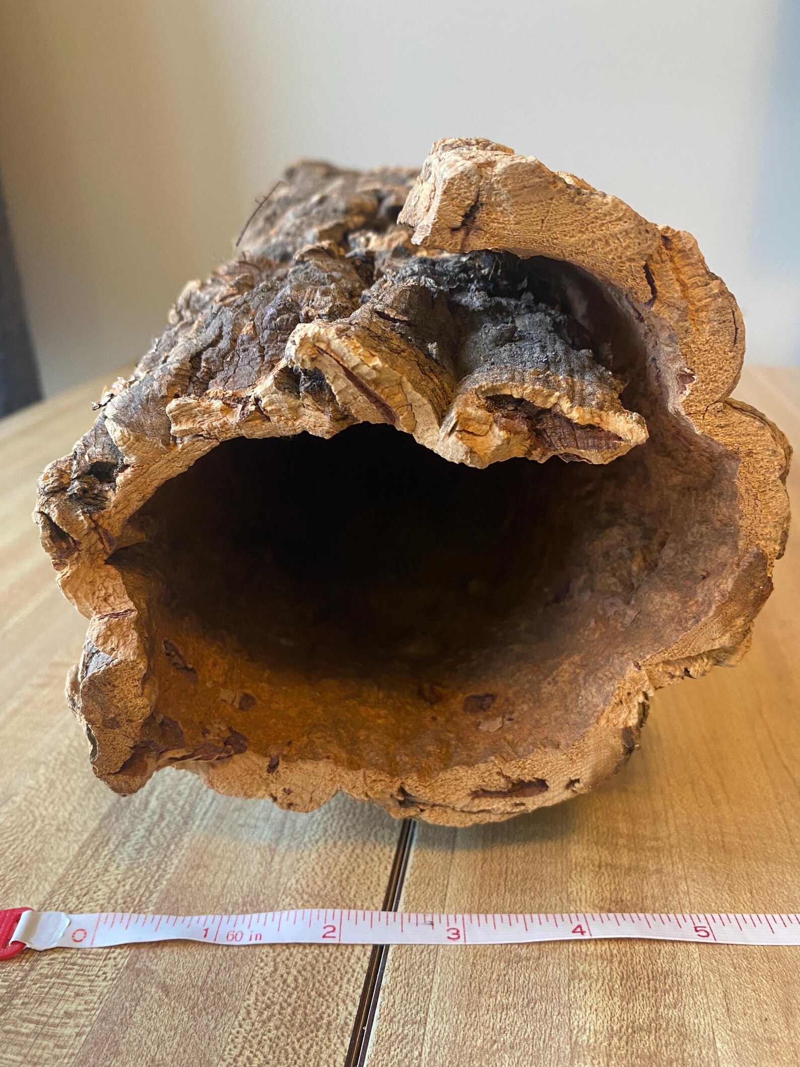 Huge Cork Bark Round Show Piece Log Hole Hamster Hide Tunnel Terrarium ...
