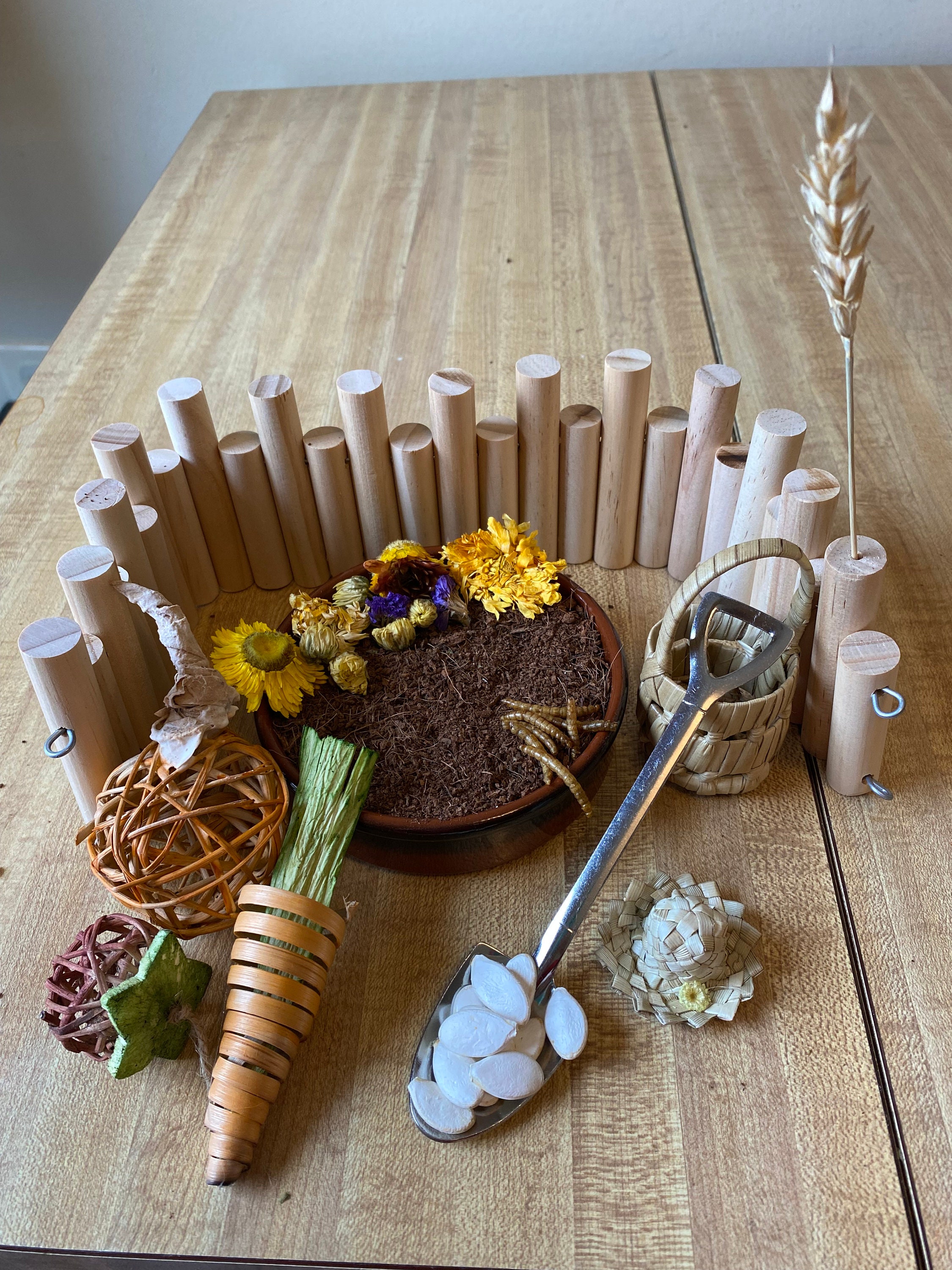 Hamster Activity Box Spring Garden Forage Chew Dig Enrichment Toys ...