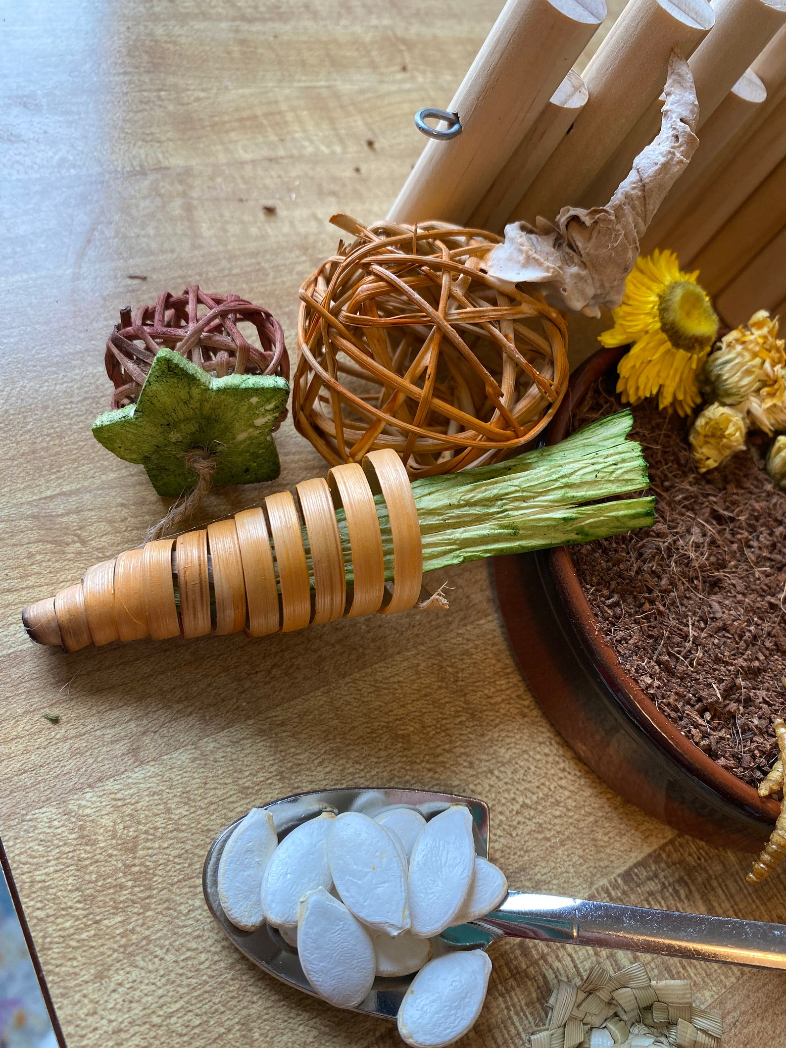 Hamster Activity Box Spring Garden Forage Chew Dig Enrichment Toys ...