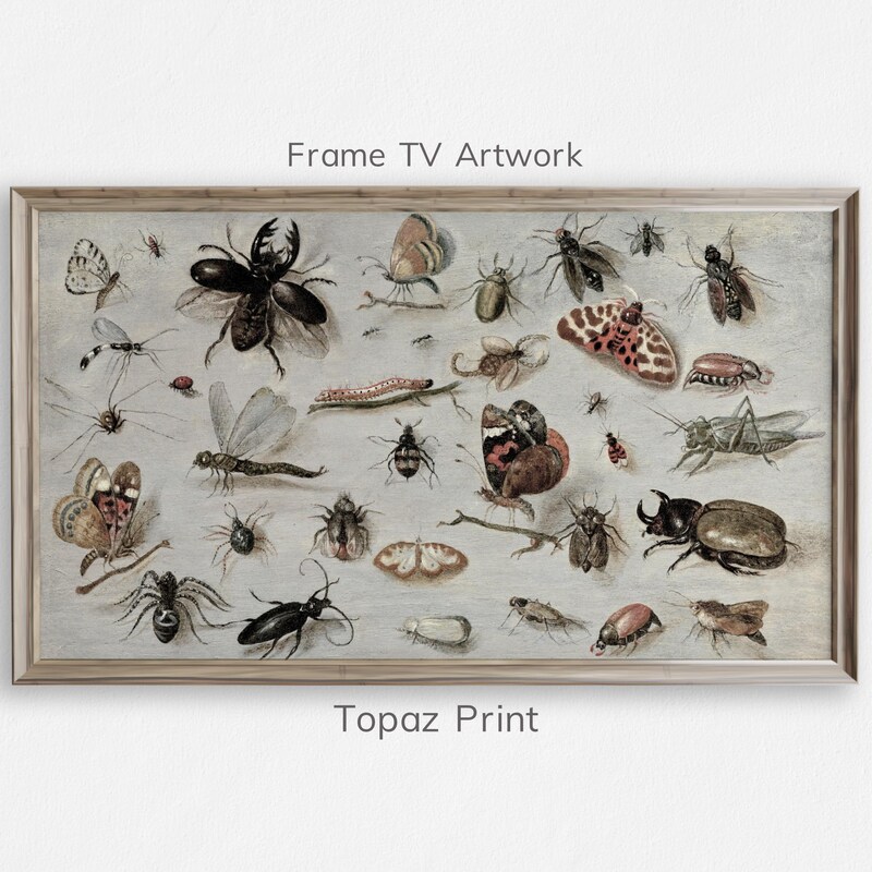 Entomology - Etsy