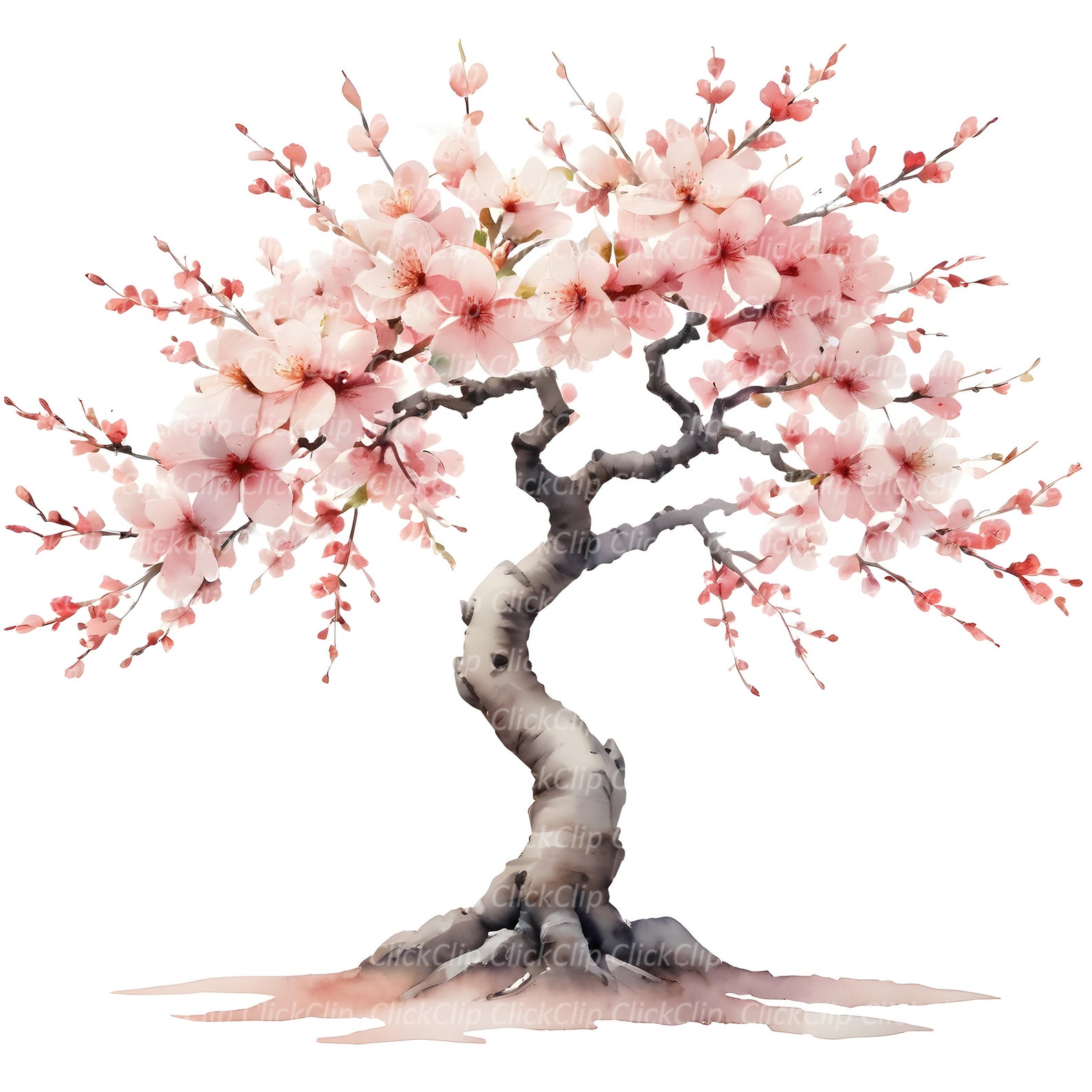 Flowering Cherry Tree Clipart Watercolor 10 High Quality JPG Digital ...