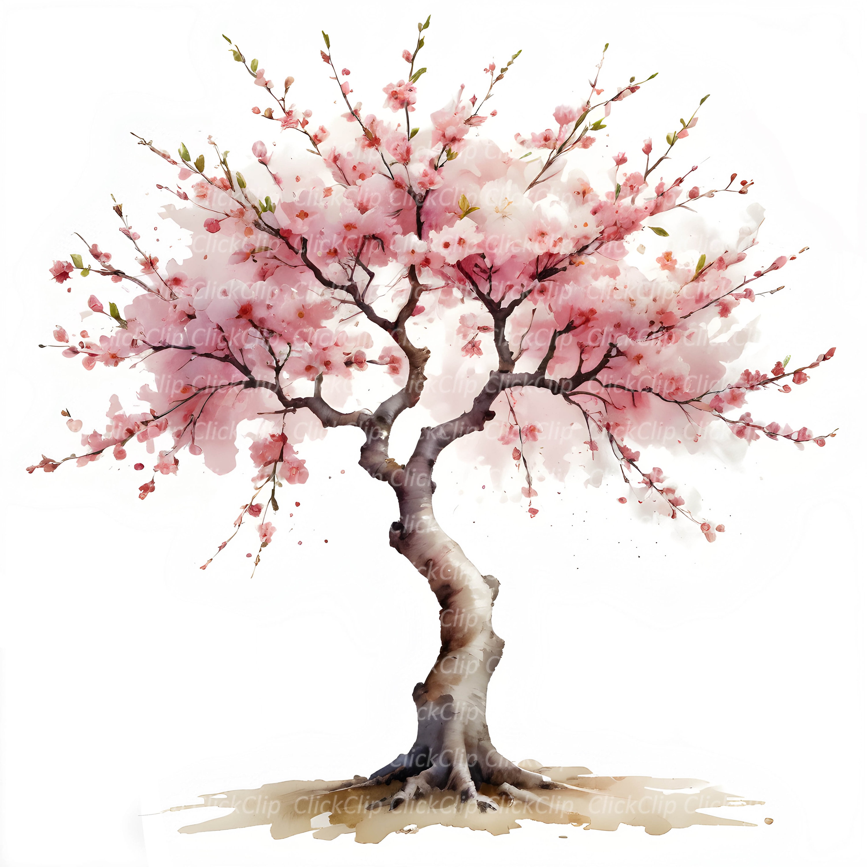 Flowering Cherry Tree Clipart Watercolor 10 High Quality JPG Digital ...