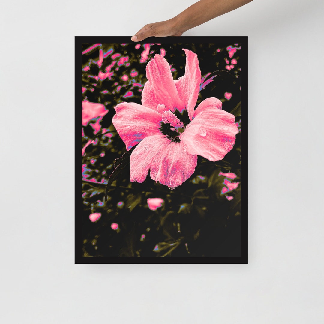 Crying Pink Flower Poster - Etsy