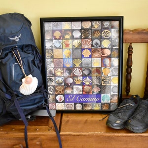 El Camino Shell Poster - Etsy