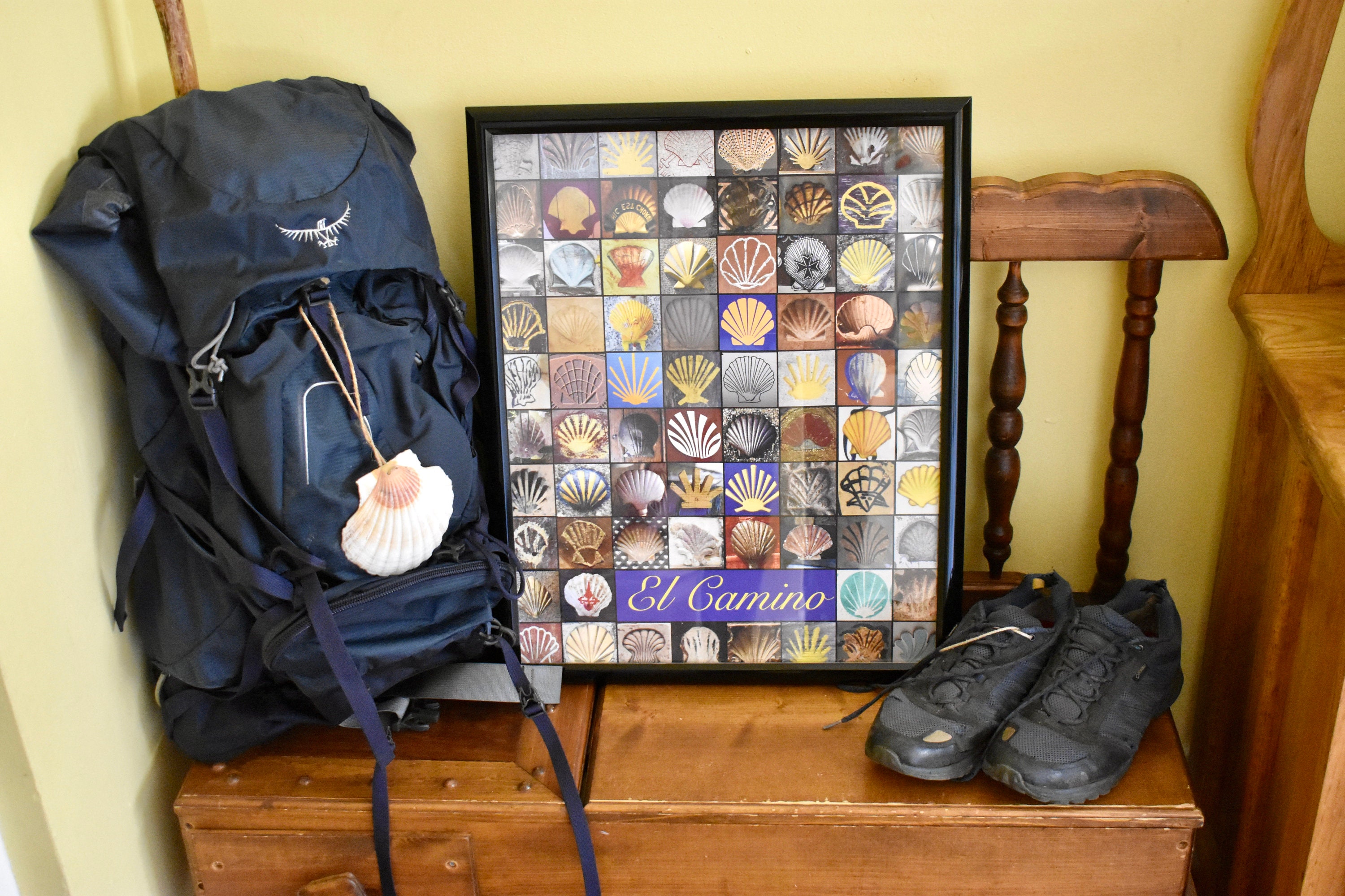 El Camino Shell Poster - Etsy