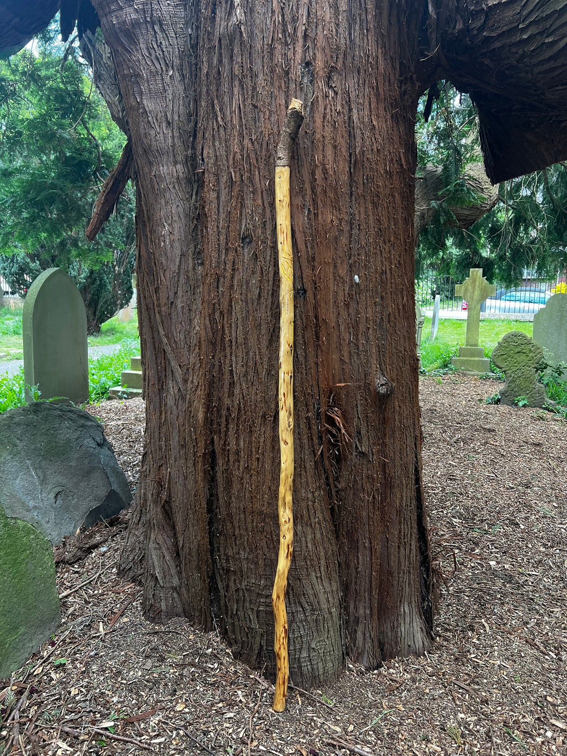 Hand Carved and Decorated Walking Stick, Staff or Pole - Etsy