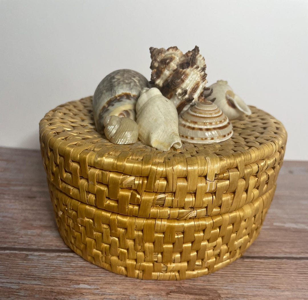 Vintage Seashell Box Woven Seashell Box Rattan Box Boho Coasters Set ...