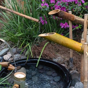 The Relaxing Allure of a Bamboo Water Garden - Etsy