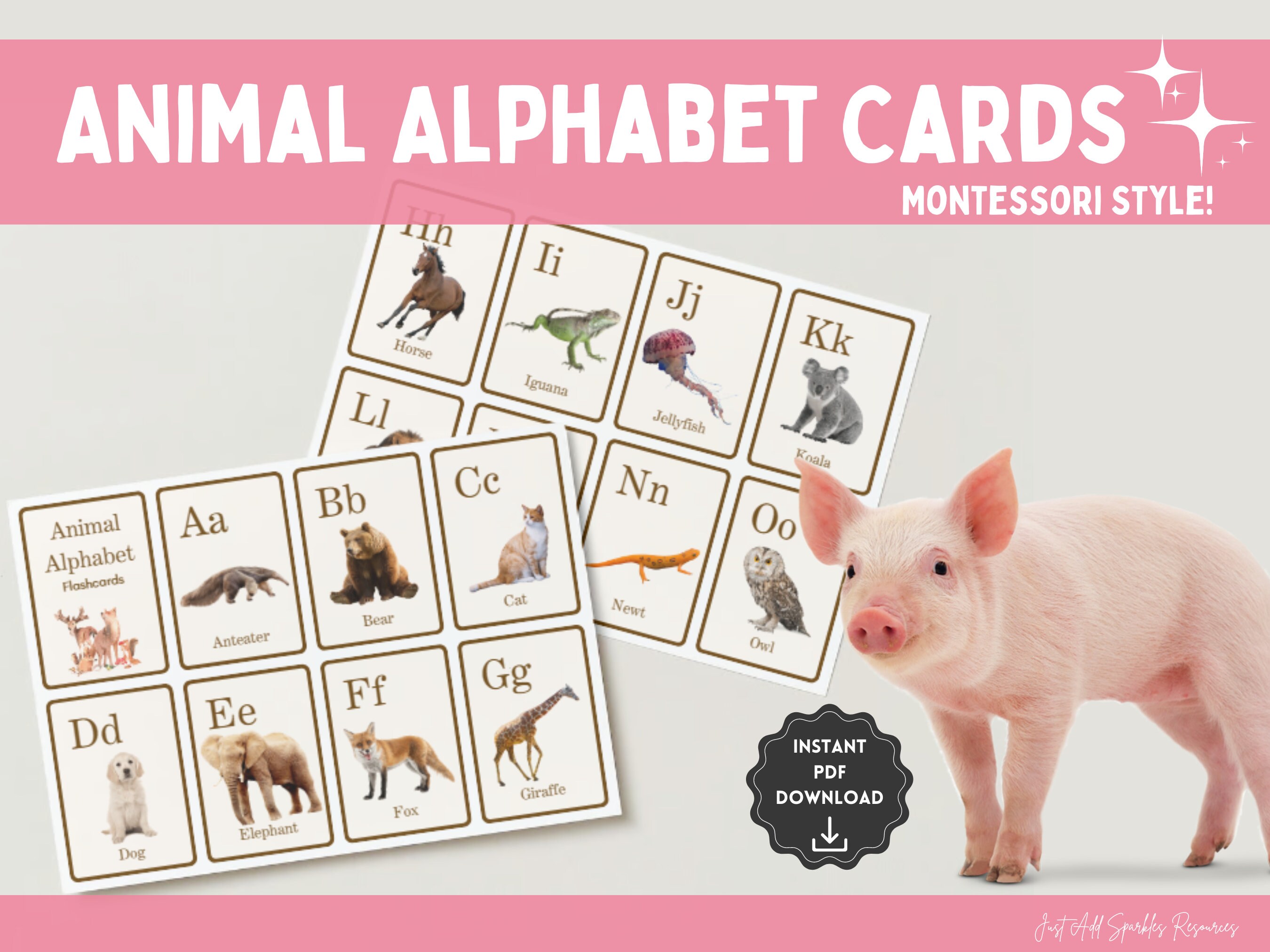 Montessori Alphabet Animal Flash Cards Real Life Educational Learning ...