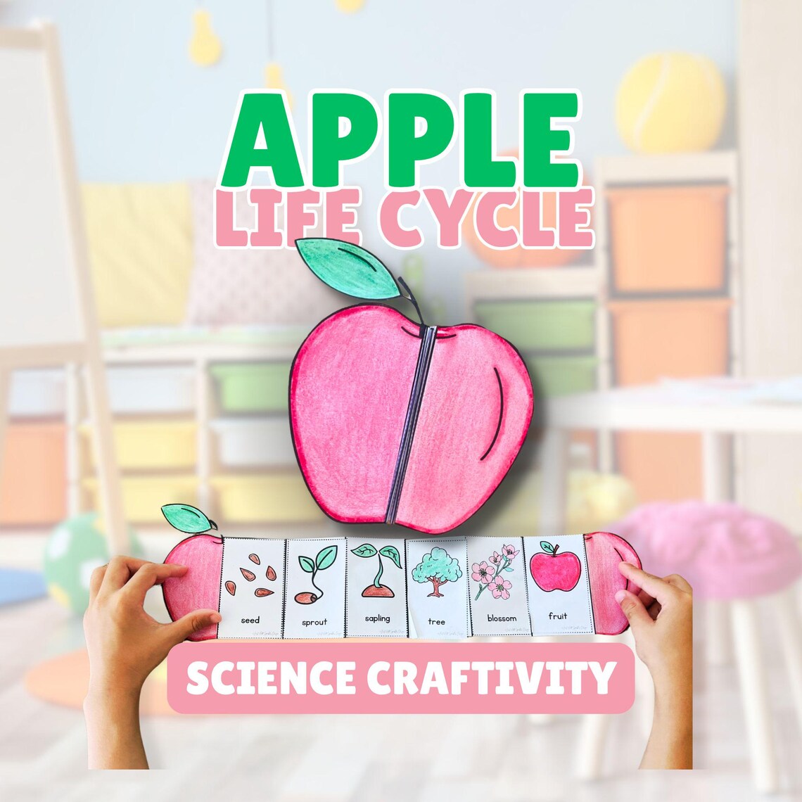 Kindergarten Preschool Learning Apple Life Cycle, Apple Tree ...