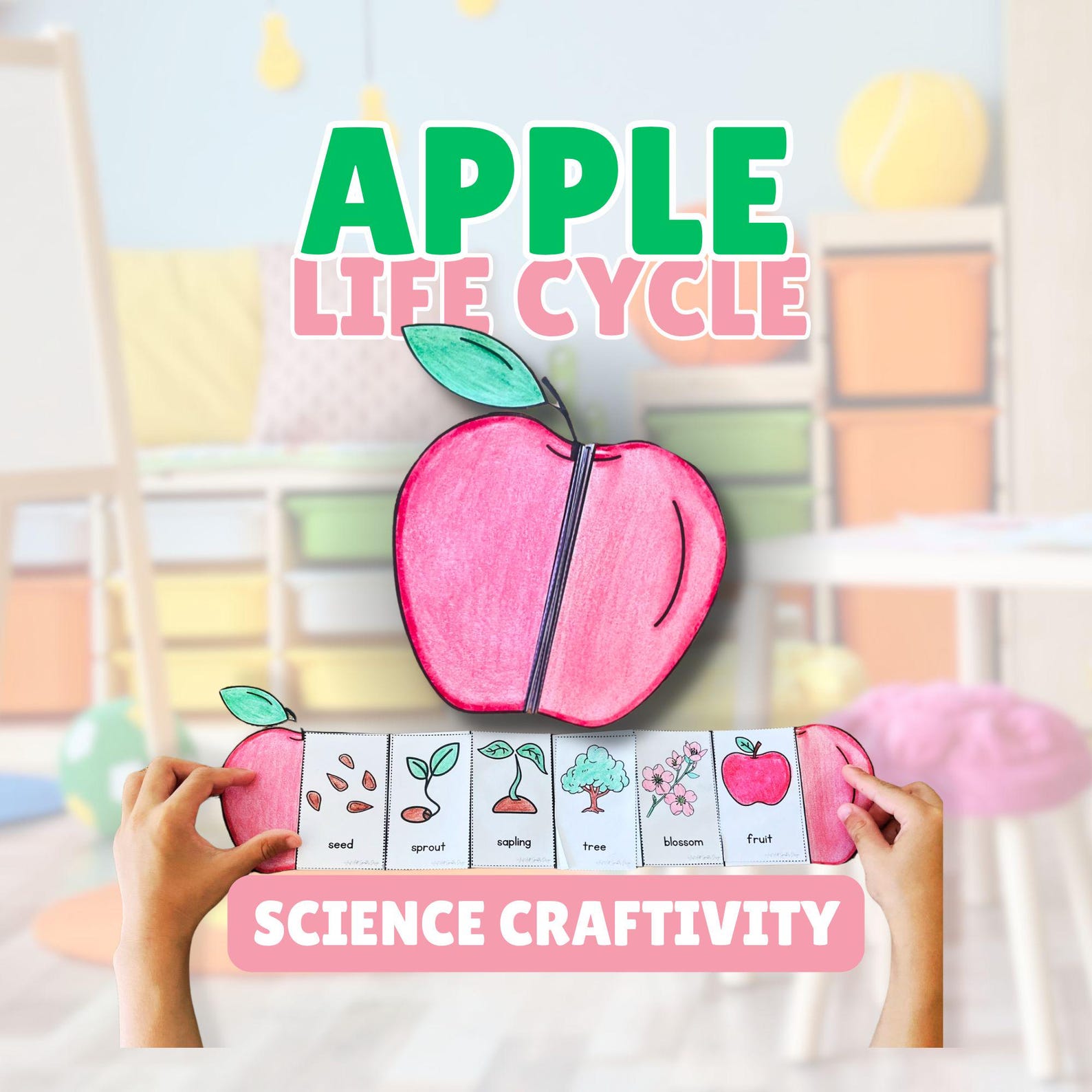 Kindergarten Preschool Learning Apple Life Cycle, Apple Tree ...