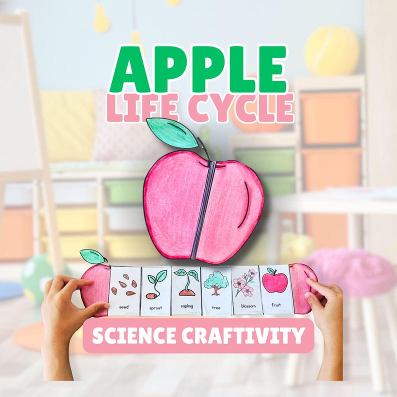Kindergarten Preschool Learning Apple Life Cycle, Apple Tree ...
