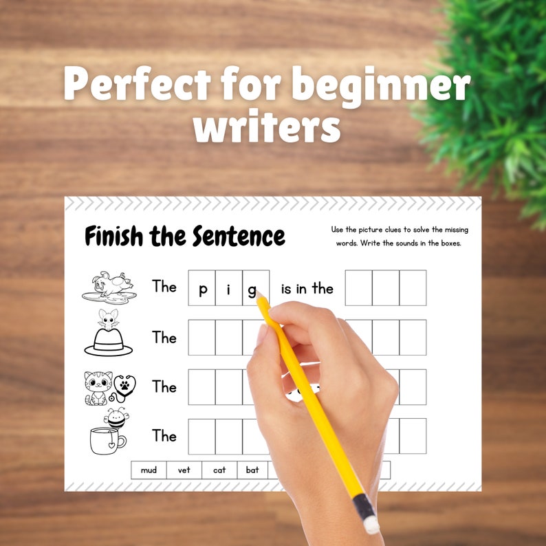 CVC Sentence Structure, Sentence Writing, Short Vowels, Phonics, Sight ...