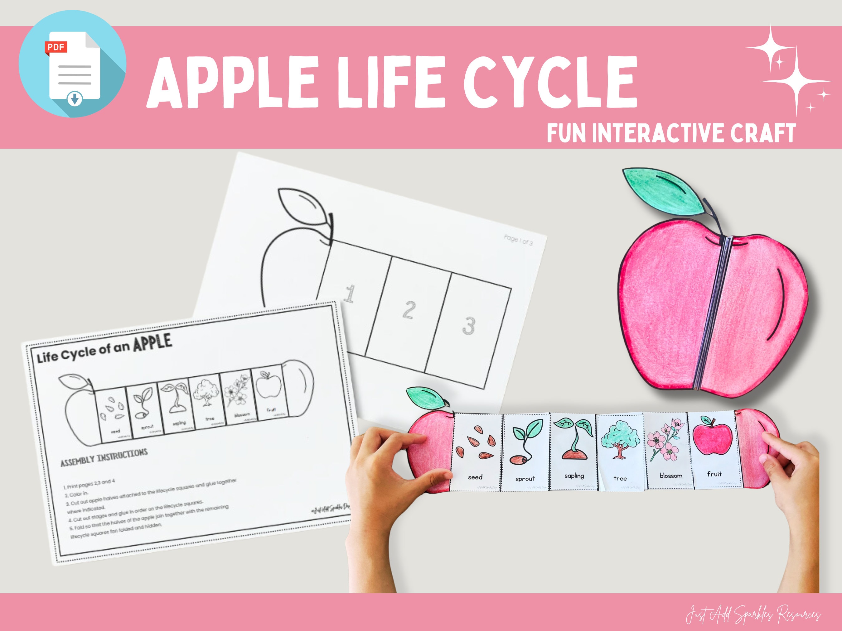 Kindergarten Preschool Learning Apple Life Cycle, Apple Tree ...
