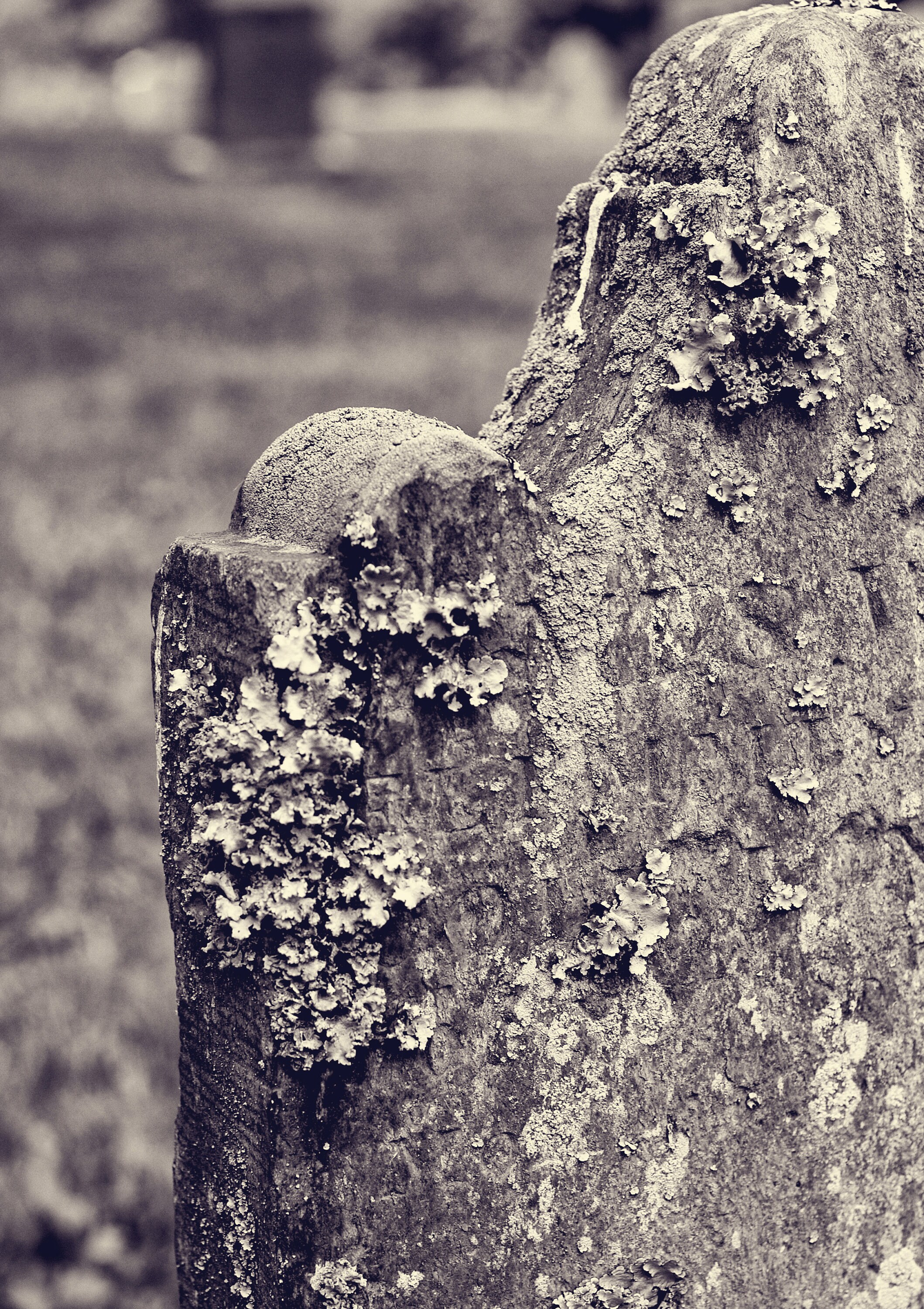 Cemetery Headstone Fine Art Print - Etsy