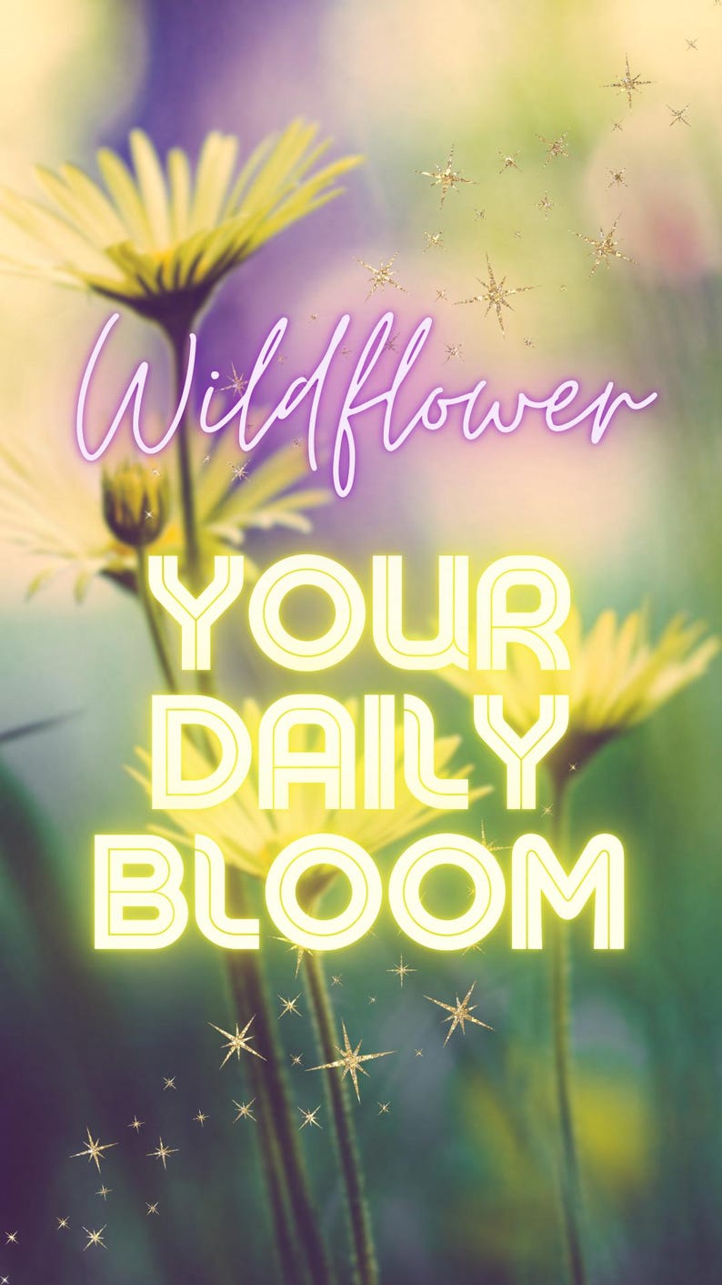 Boho Bloom Canva Template Bundle - Etsy