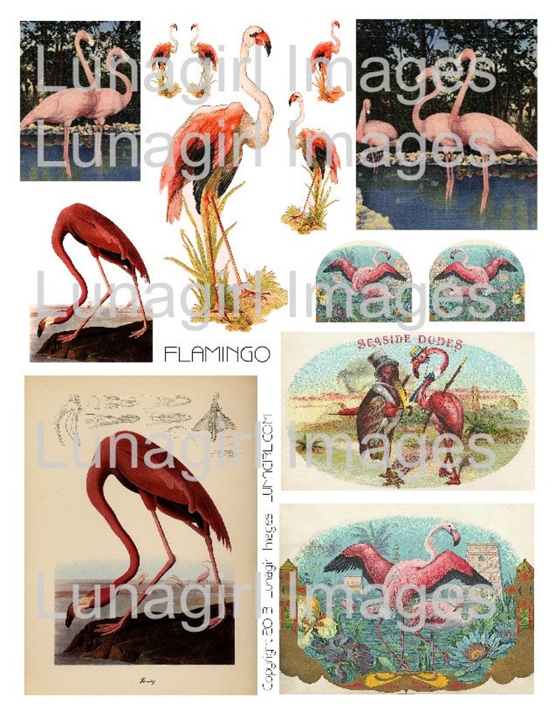 PINK FLAMINGOS Digital Collage Sheet, Vintage Postcards Florida ...